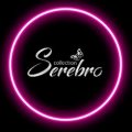 Иконка канала Serebro collection