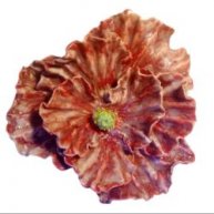 Иконка канала Марка Димитровых.Не посуда