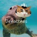 Иконка канала Denattnes
