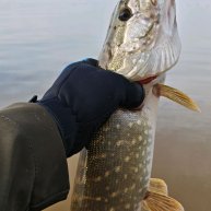 Иконка канала Pro Ulta Light 36