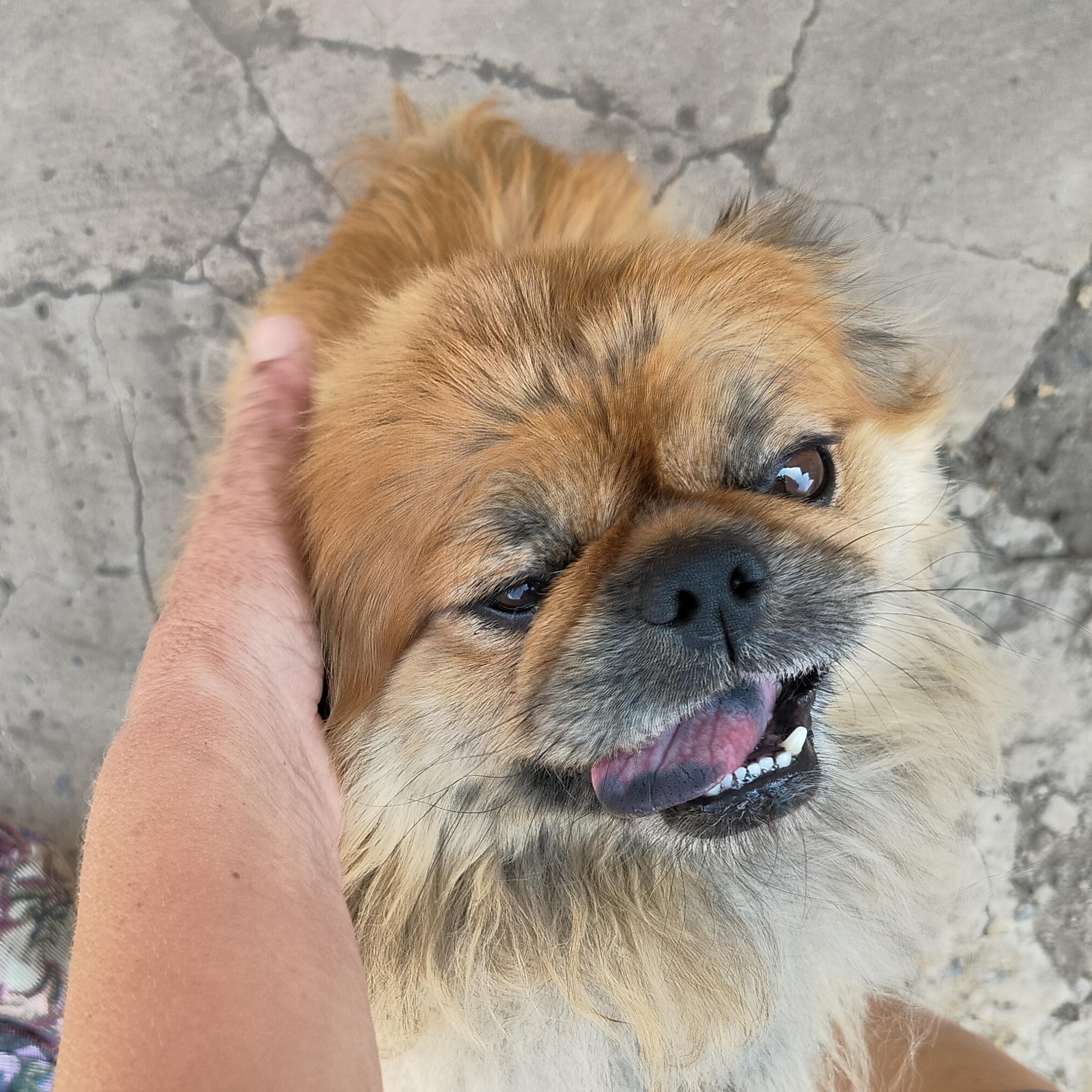 Иконка канала ВИКТОРИЯ влог.