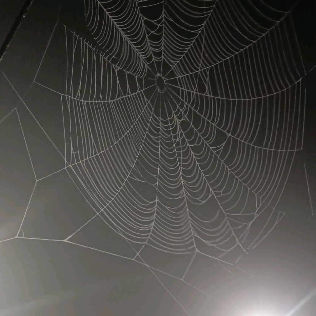 Иконка канала Безон