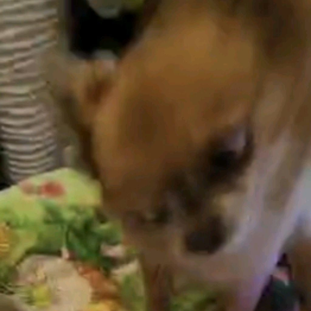 Иконка канала егор