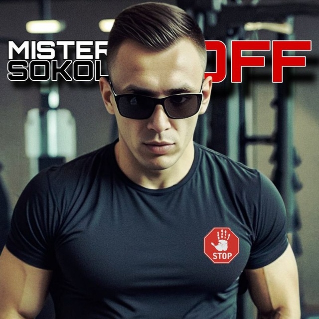 Иконка канала Mister.sokoloff