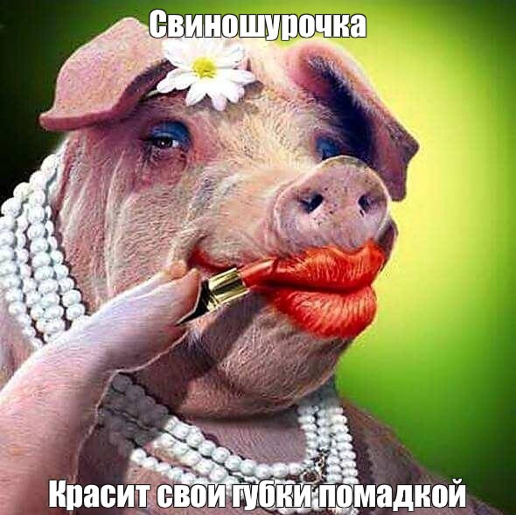 Иконка канала КОКТЕЙЛЬ НЕ ИНТЕРЕСНЫХ МОМЕНТОВ ИНТЕРНЕТА