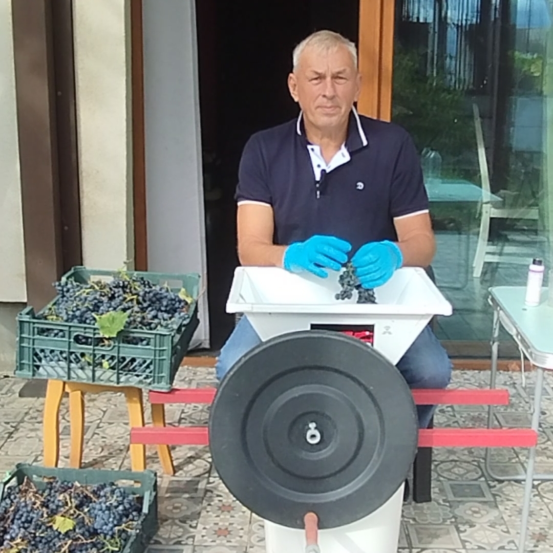 Иконка канала Домашнее вино. Просто о сложном.