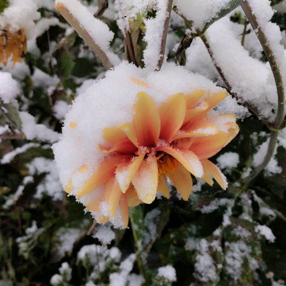 Иконка канала Константин