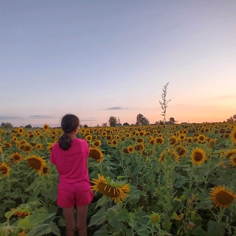 Иконка канала Разеснитель