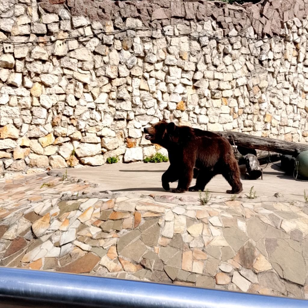 Иконка канала FLYTERGD