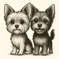 Иконка канала Yorki_tut