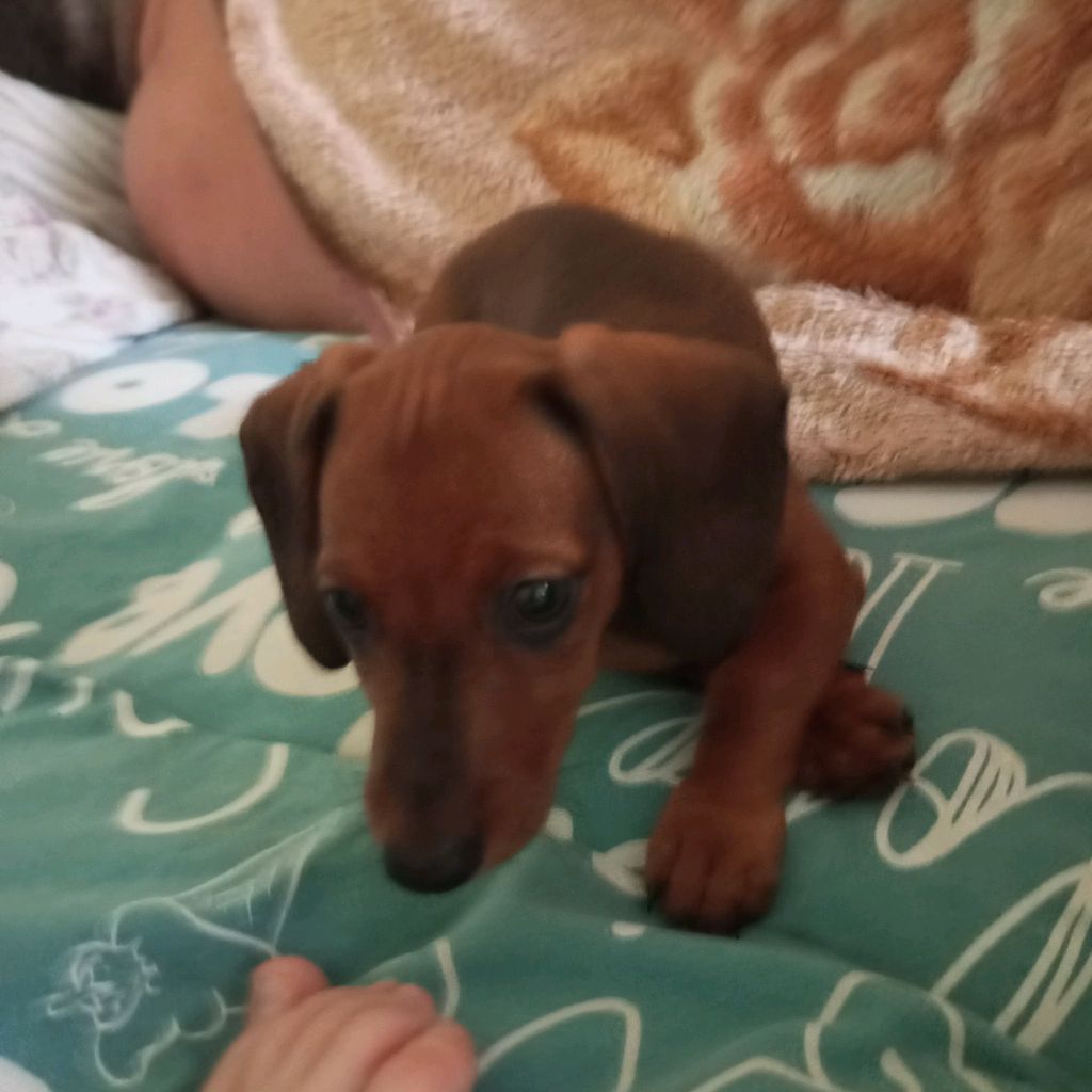 Иконка канала Ivan762