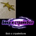 Иконка канала Бека и страйкбол