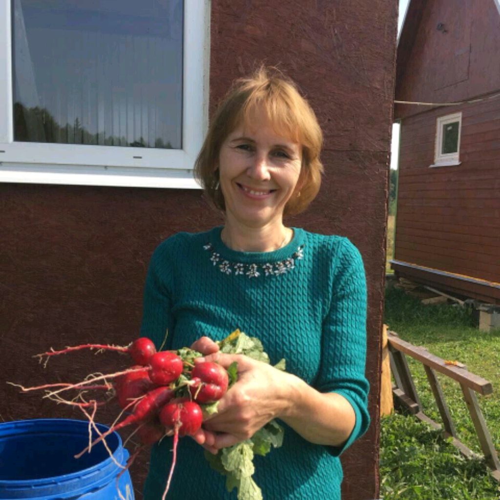 Иконка канала Дневник дачницы Анны.