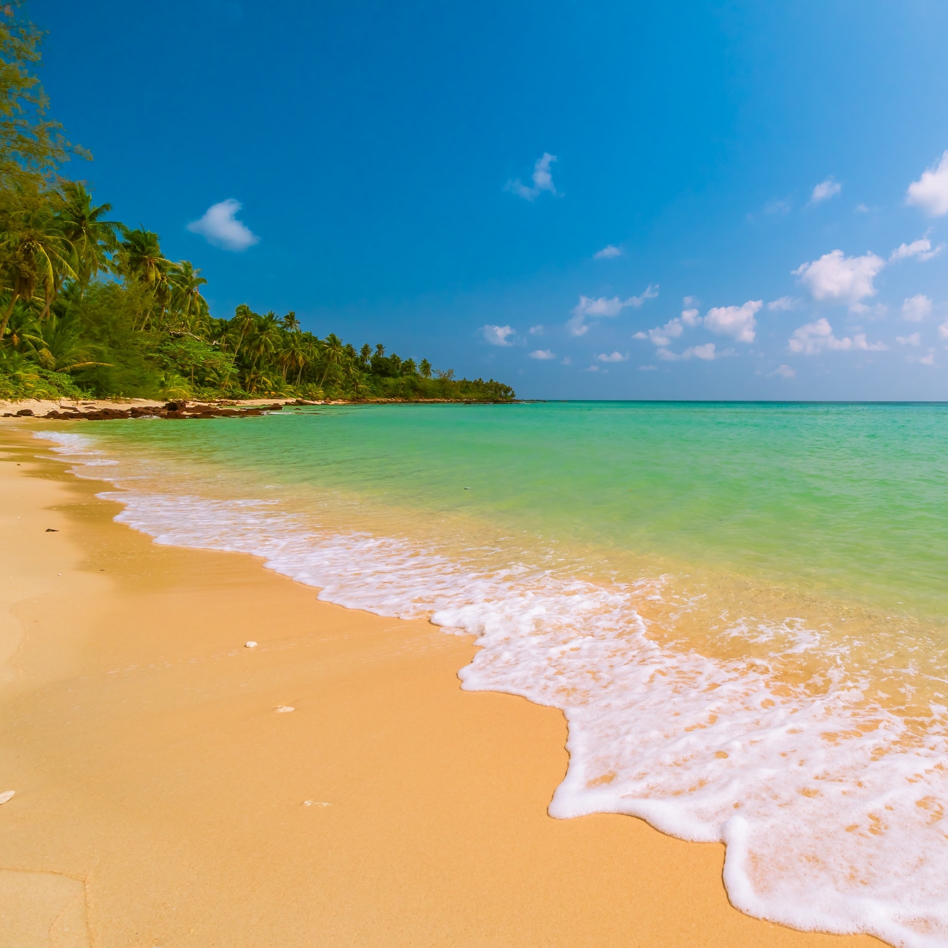 Иконка канала Данил Рыбак