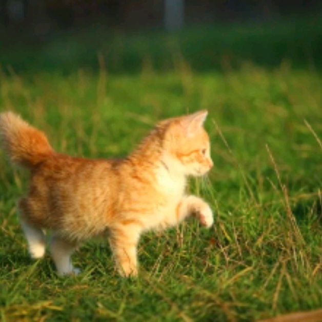 Иконка канала Виолетта Подюкова