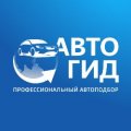 Иконка канала АвтоГид 🌏 Профессиональный подбор и импорт авто