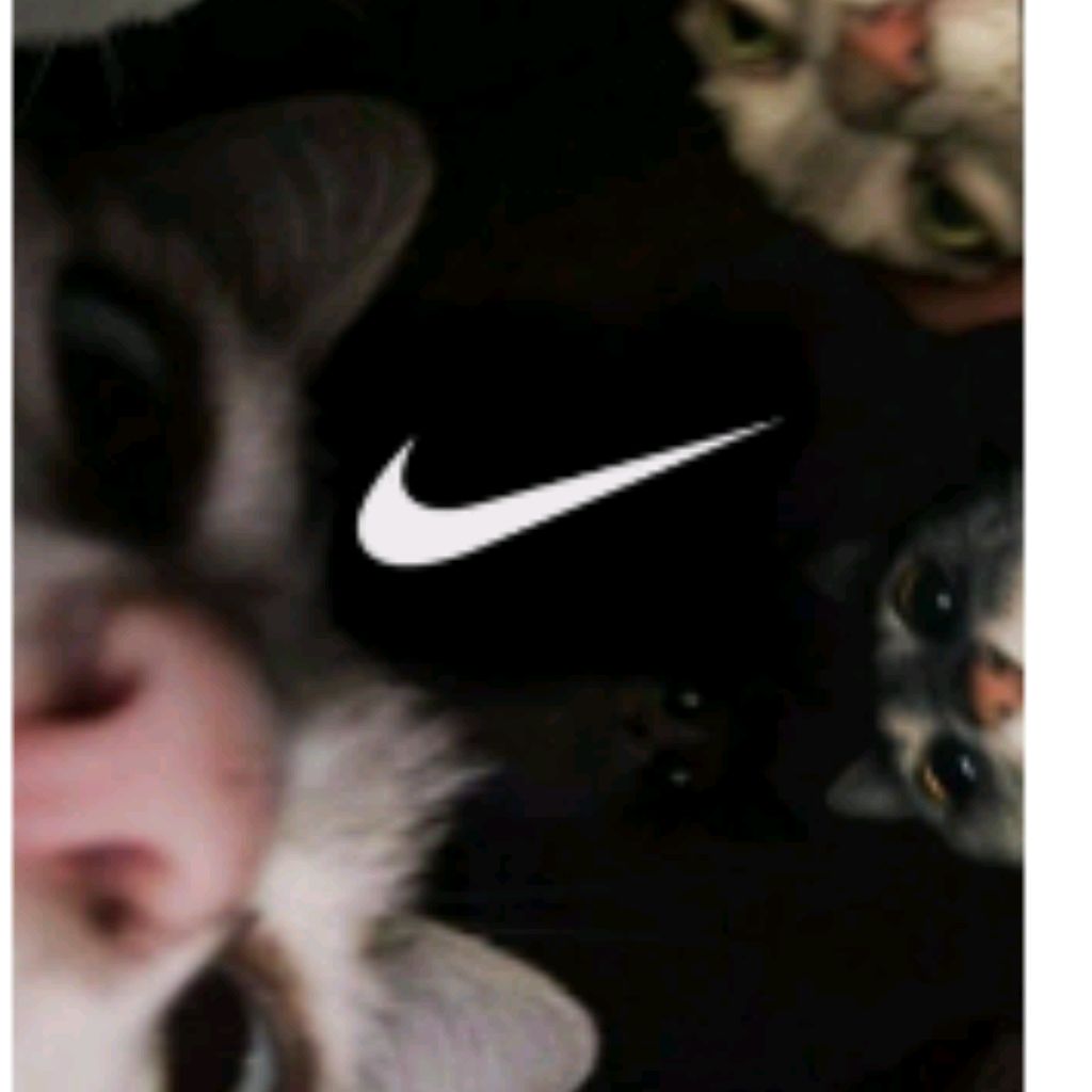 Иконка канала channel61126233