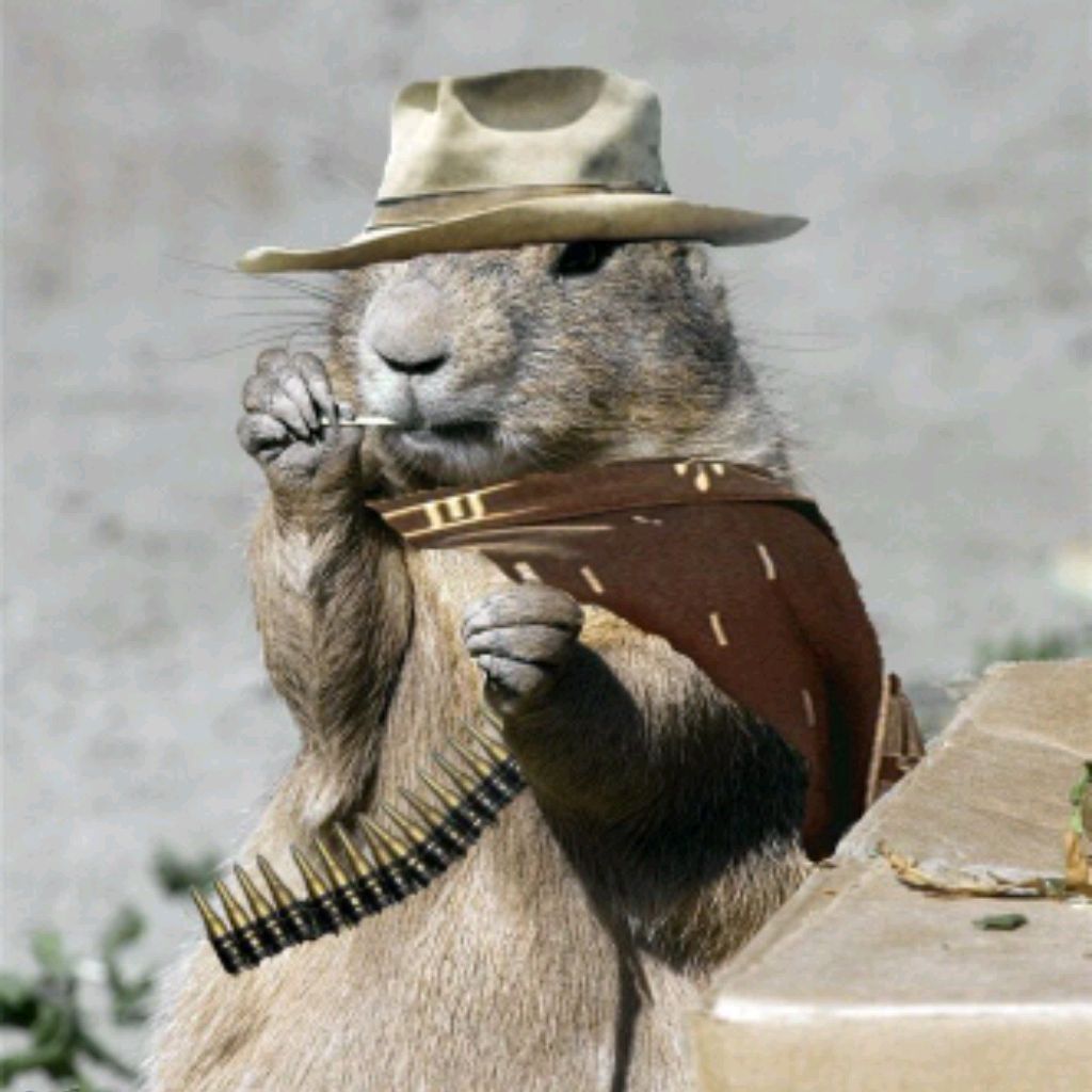 Иконка канала Bobik