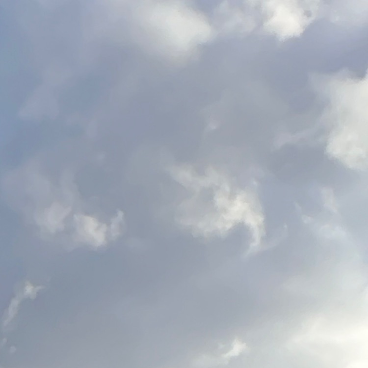 Иконка канала Анастасия Андронова