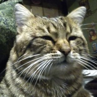 Иконка канала Ассорти Для Души