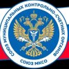 Иконка канала Союз МКСО