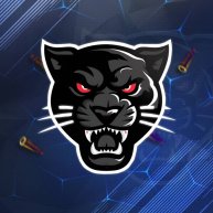 Иконка канала PanTerra