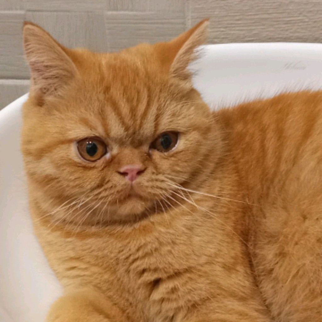 Иконка канала Райт45