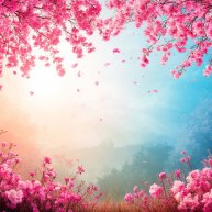 Иконка канала Красивая музыка без слов