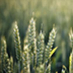 Иконка канала prostovera-org