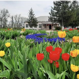 Иконка канала ГКОУ ШКОЛА-ИНТЕРНАТ № 2 ст.Барсуковская