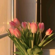 Иконка канала SilentStorm