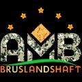 Иконка канала AMB-bruslandshaft - technical channel