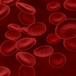 Иконка канала Гемнастороженность: путь к здоровью