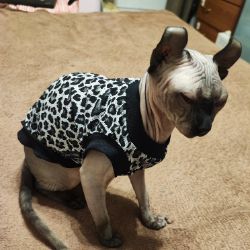 Иконка канала Буся и компания