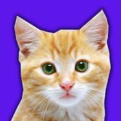 Иконка канала к