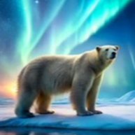 Иконка канала Чукотка рулит