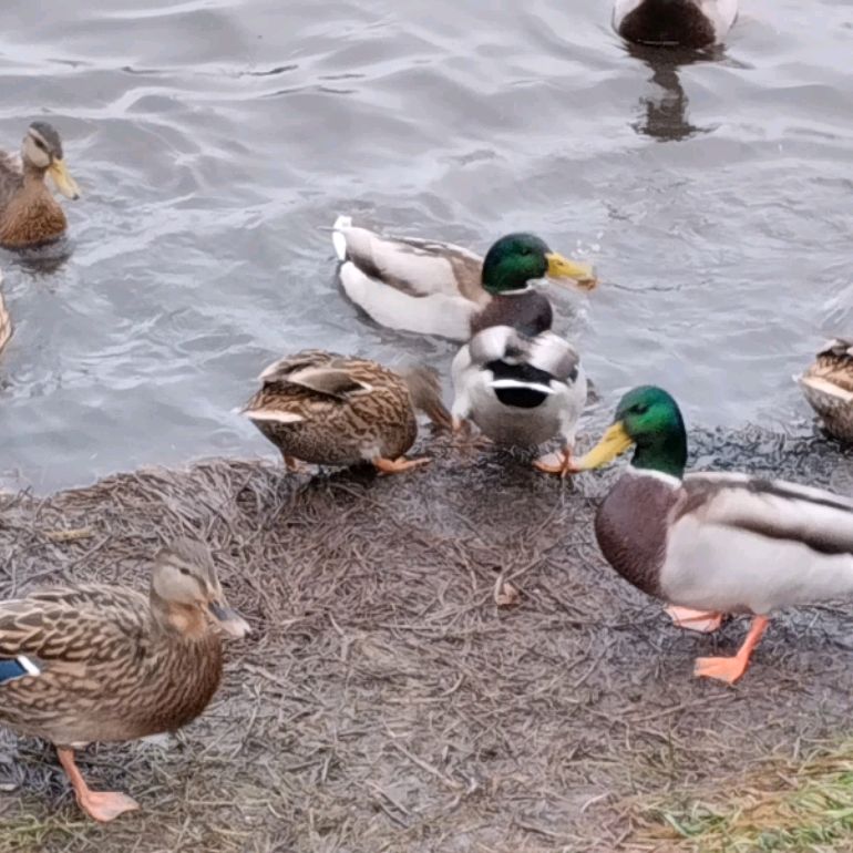 Иконка канала Я Самый Крутой