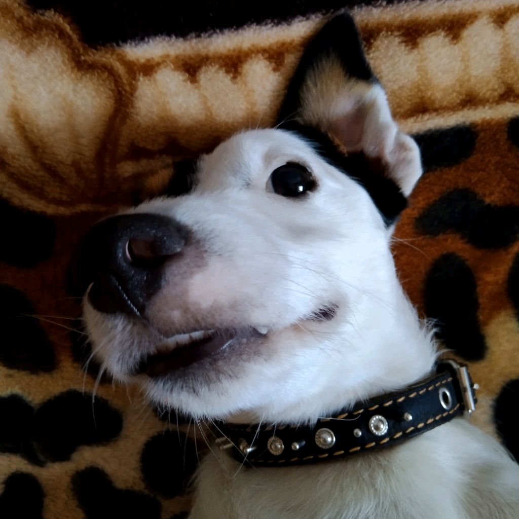 Иконка канала Светлана