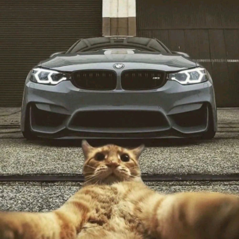 Иконка канала Серый