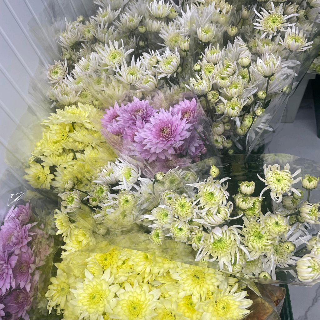 Иконка канала https://rutube.ru/channel/Родина