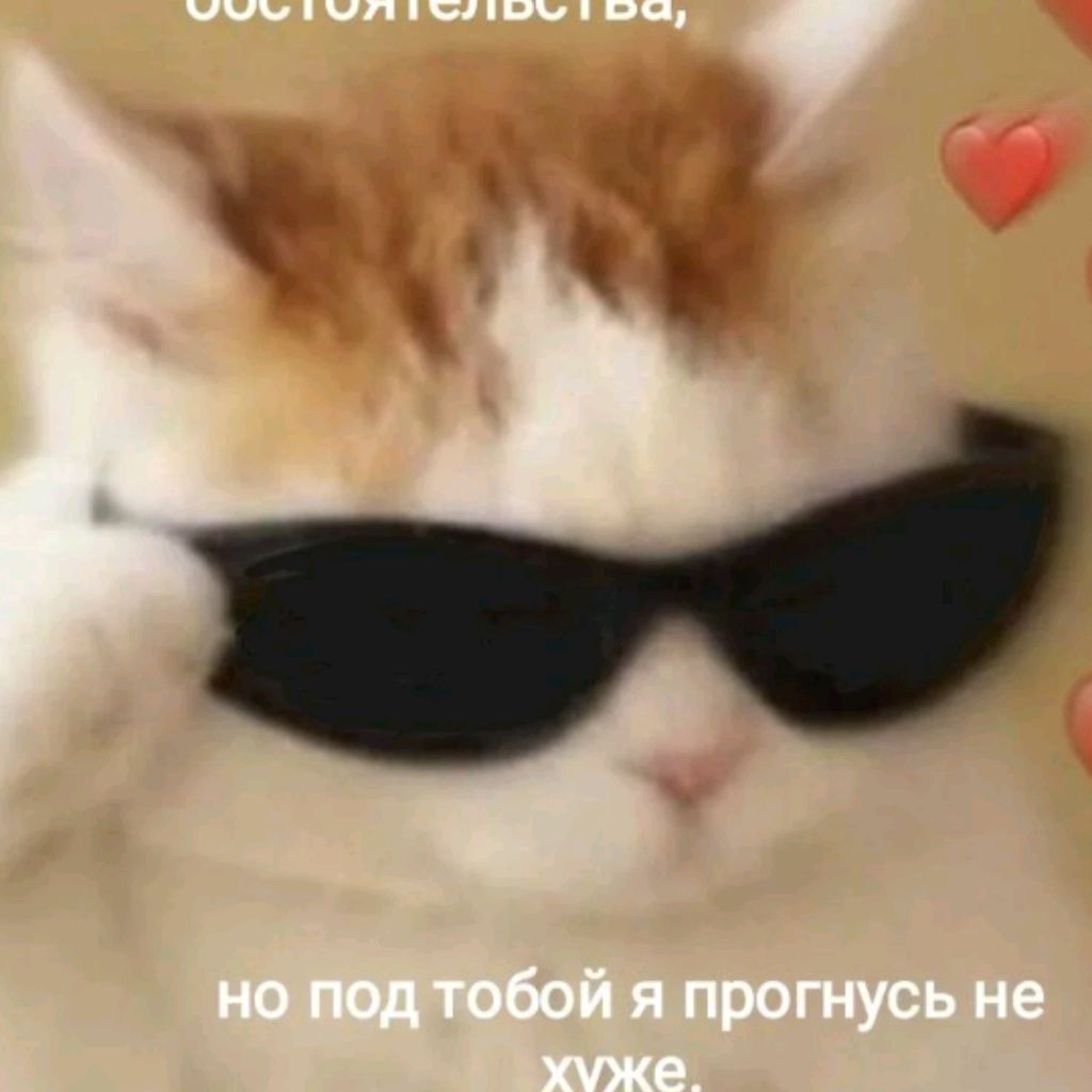 Иконка канала Смешные Видео И Приколы 🤪😂