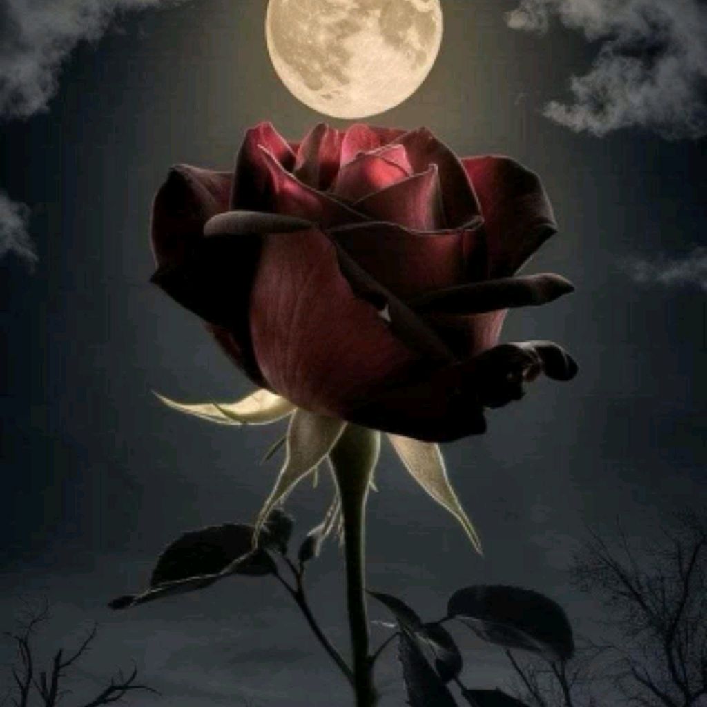 Иконка канала Простая Душа💔