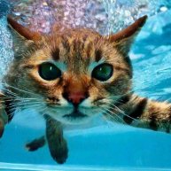 Иконка канала Смотрим и обсуждаем