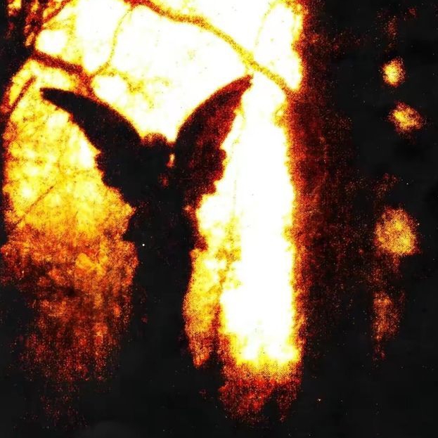 Иконка канала chaykаа