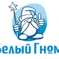 Иконка канала Белый Гном
