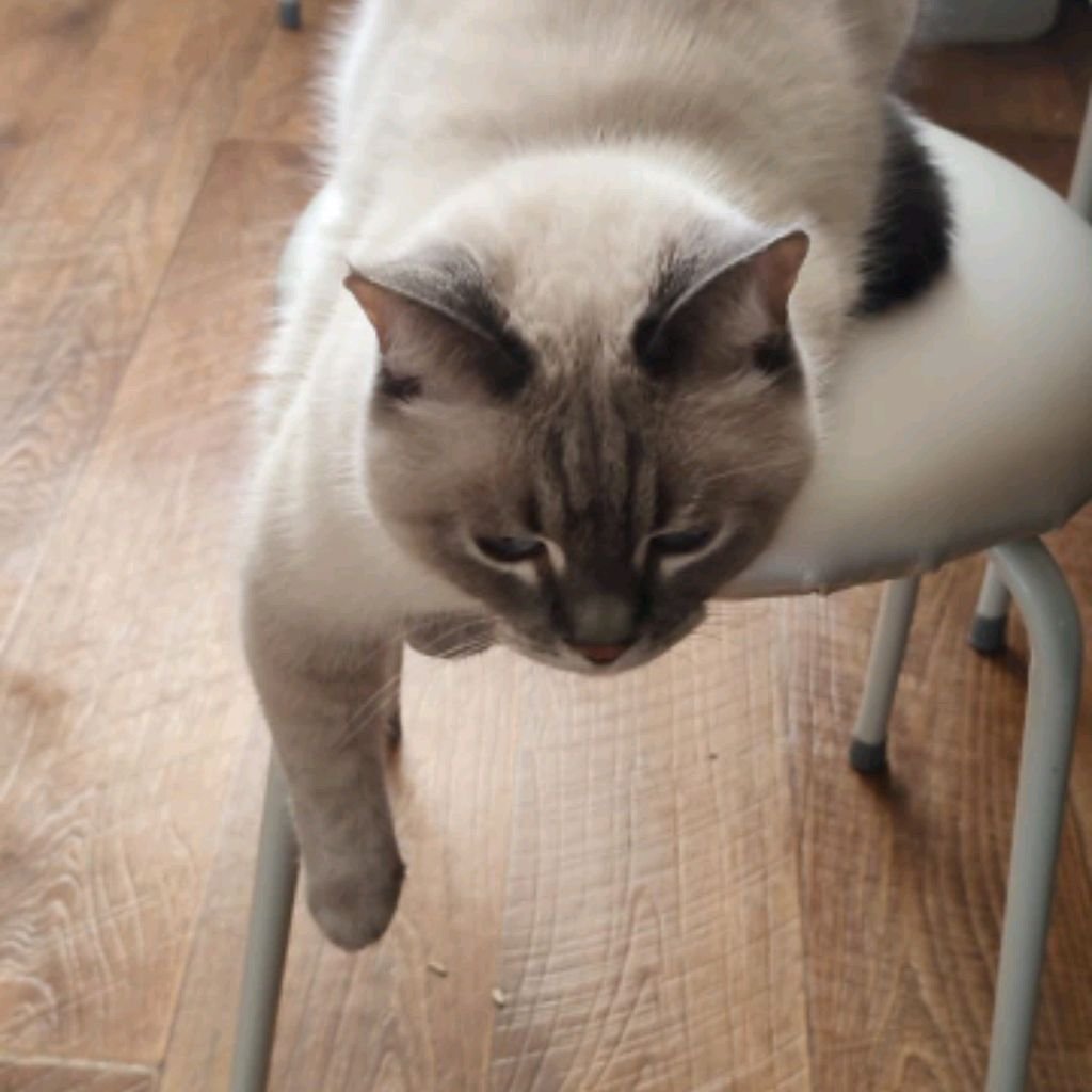 Иконка канала Мишаил игры☑️