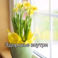 Иконка канала Здоровье внутри