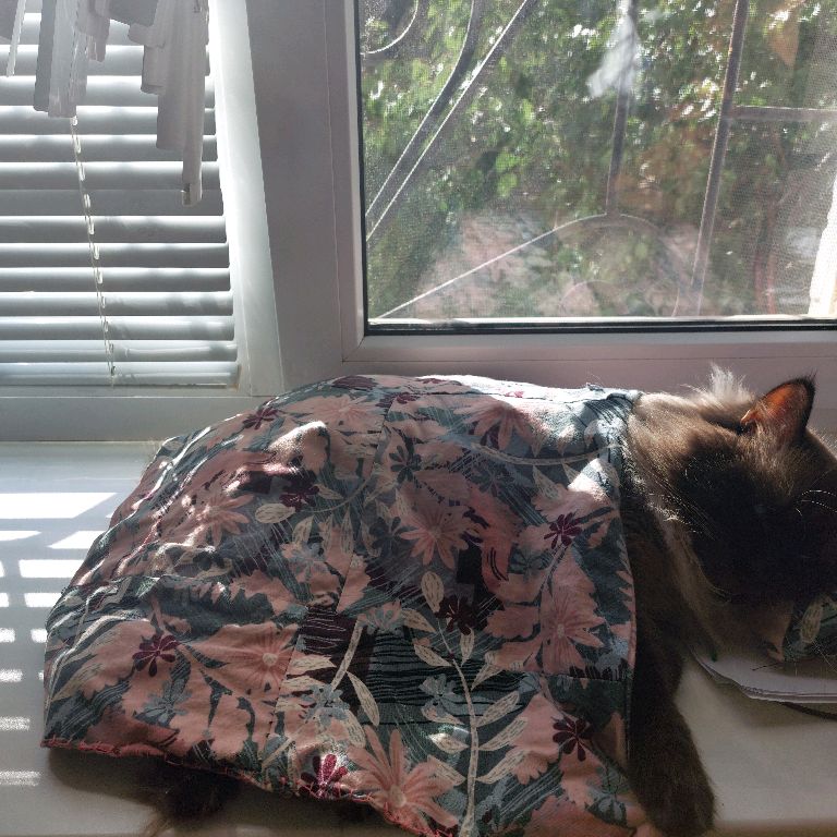 Иконка канала Олень 99ночей В Лесу