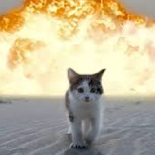 Иконка канала Брайт Парк