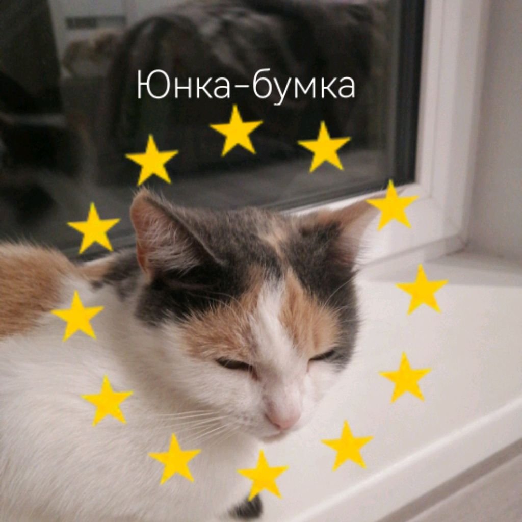 Иконка канала Юнка бумка